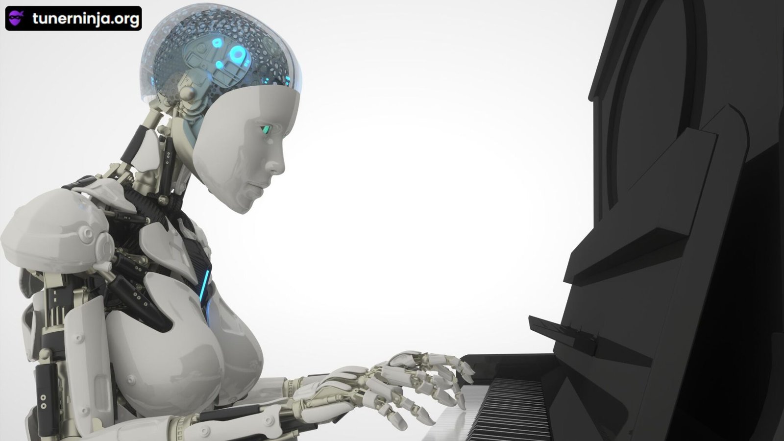 The No-App-Needed Revolution: How Tuner Ninja Is Changing Instrument Tuning - taalk